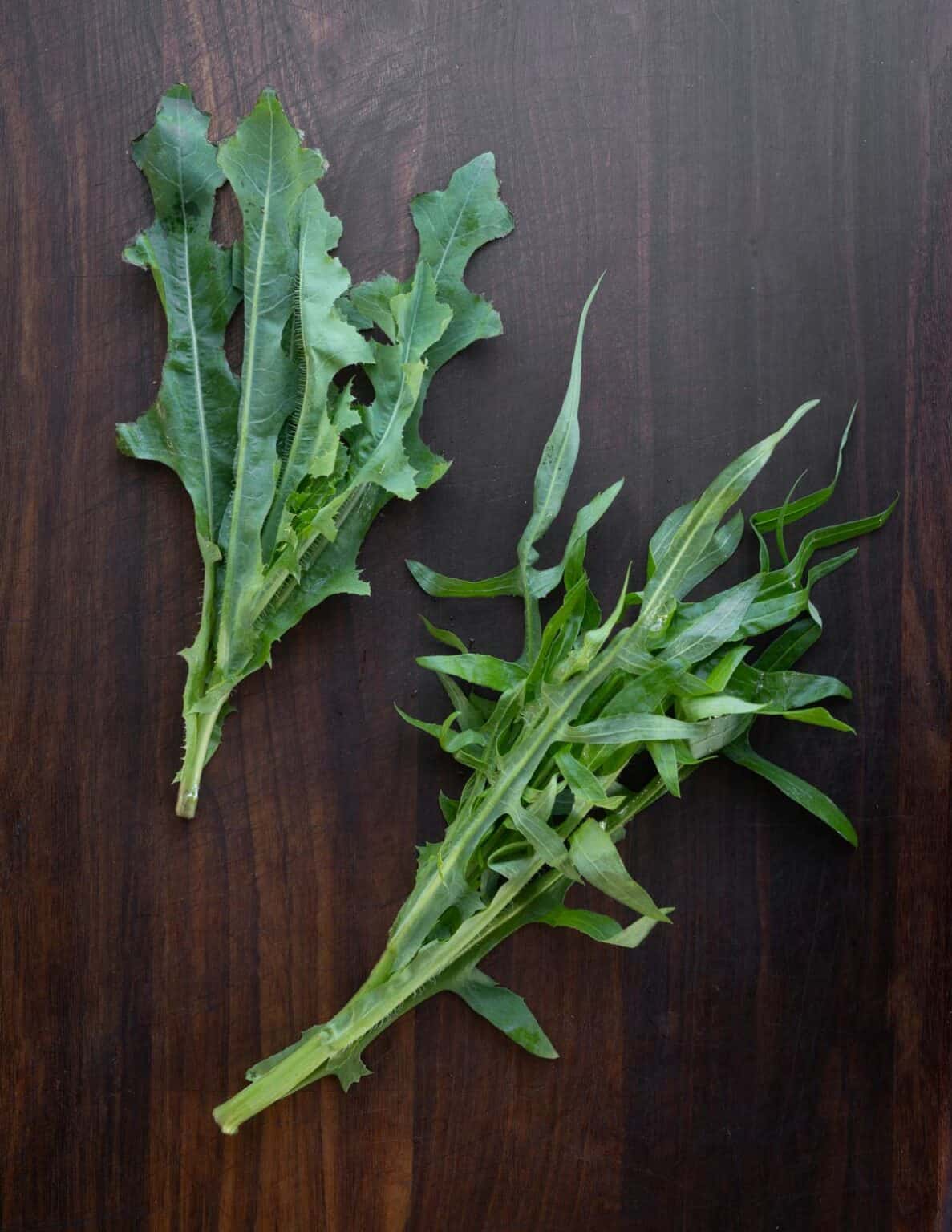 Fermented Dandelion or Wild Lettuce Kimchi - Forager | Chef