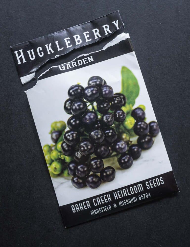 Njama Njama: Braised Garden Huckleberry Greens from Cameroon