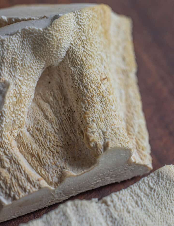 Foraging and Cooking Berkeley's Polypore (Bondarzewia berkeleyi ...