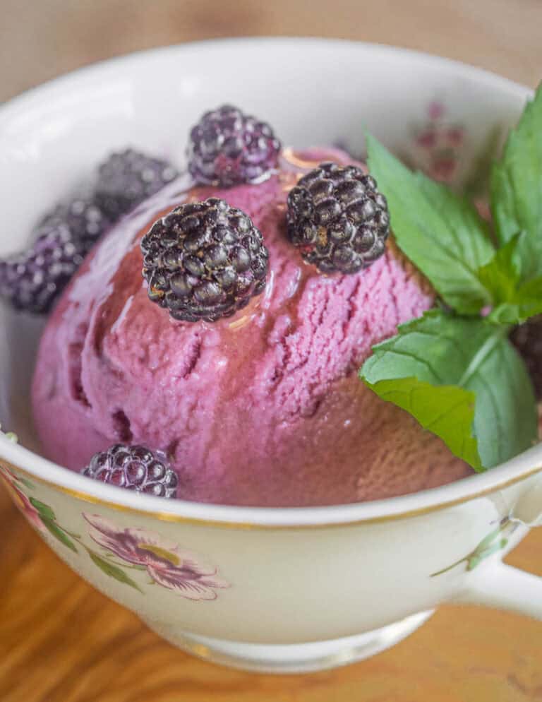 Homemade Black Raspberry Ice Cream - Forager | Chef