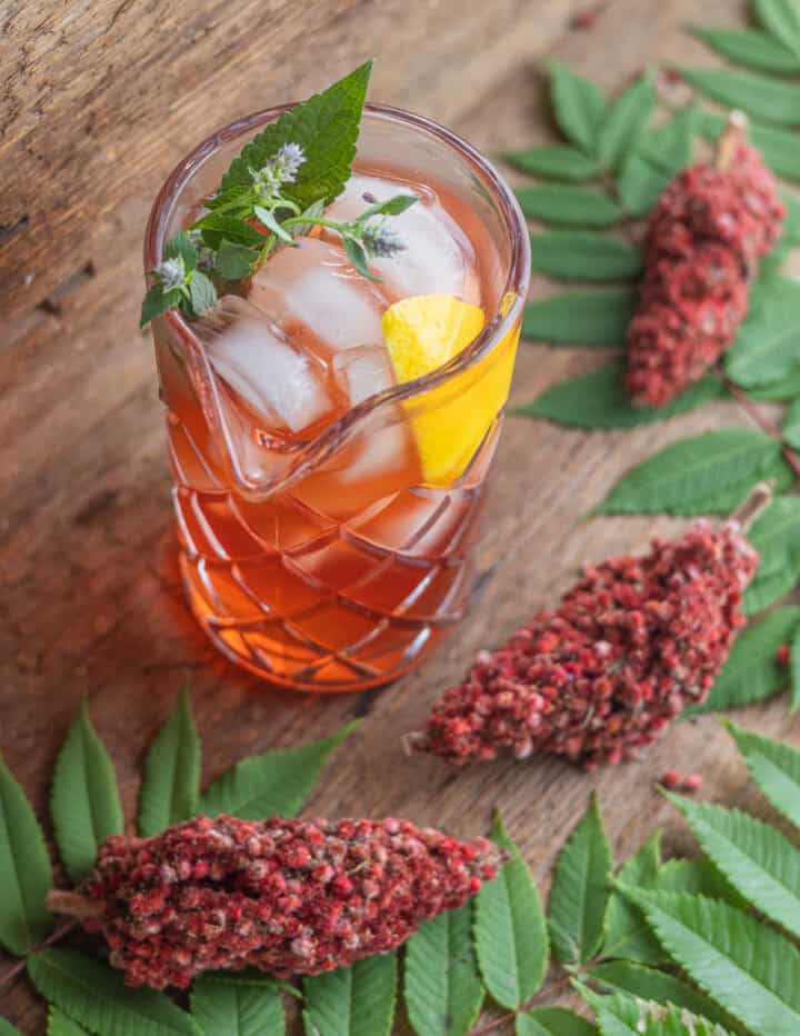 Staghorn Sumac Lemonade (Overnight Tea) - Forager | Chef