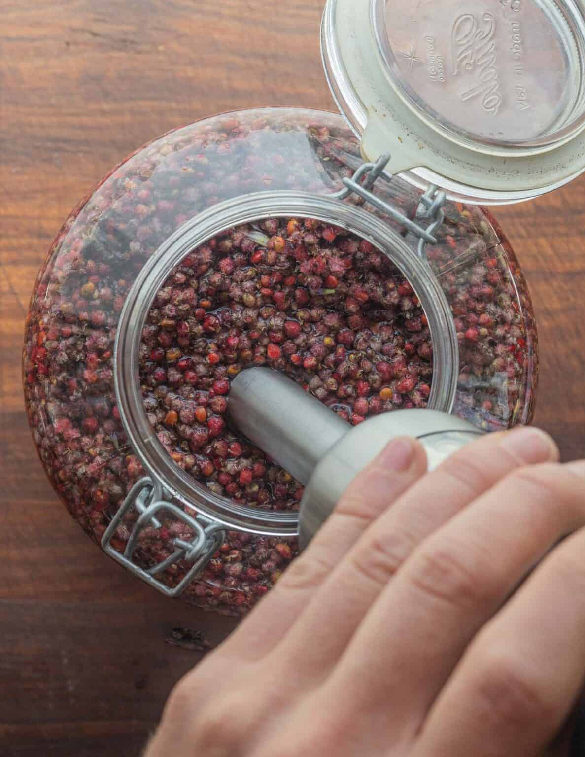 Staghorn Sumac Lemonade (Overnight Tea) - Forager | Chef