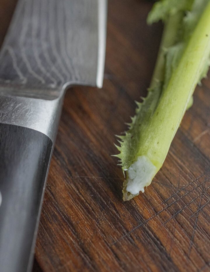 Foraging Sow Thistle: Identification, Look Alikes and Uses - Forager | Chef