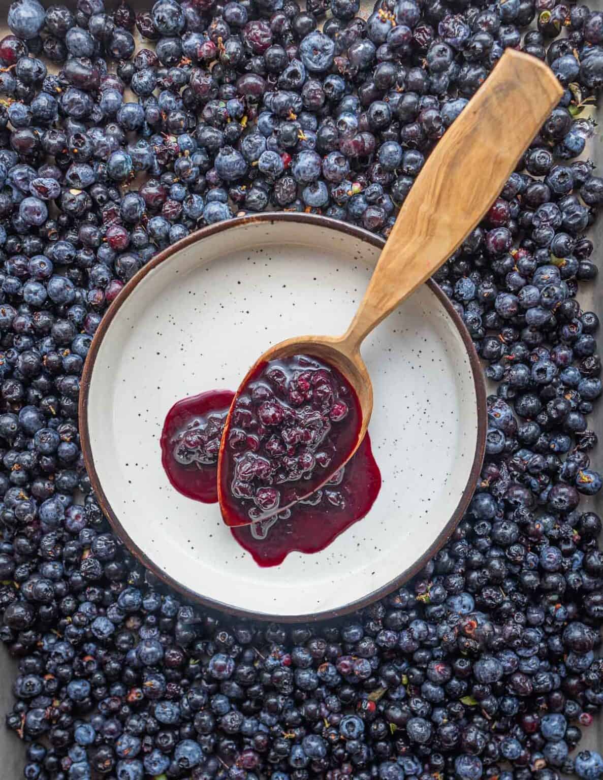 Sweet and Sour Blueberry Compote (Sauce Aigre Doux) - Forager | Chef