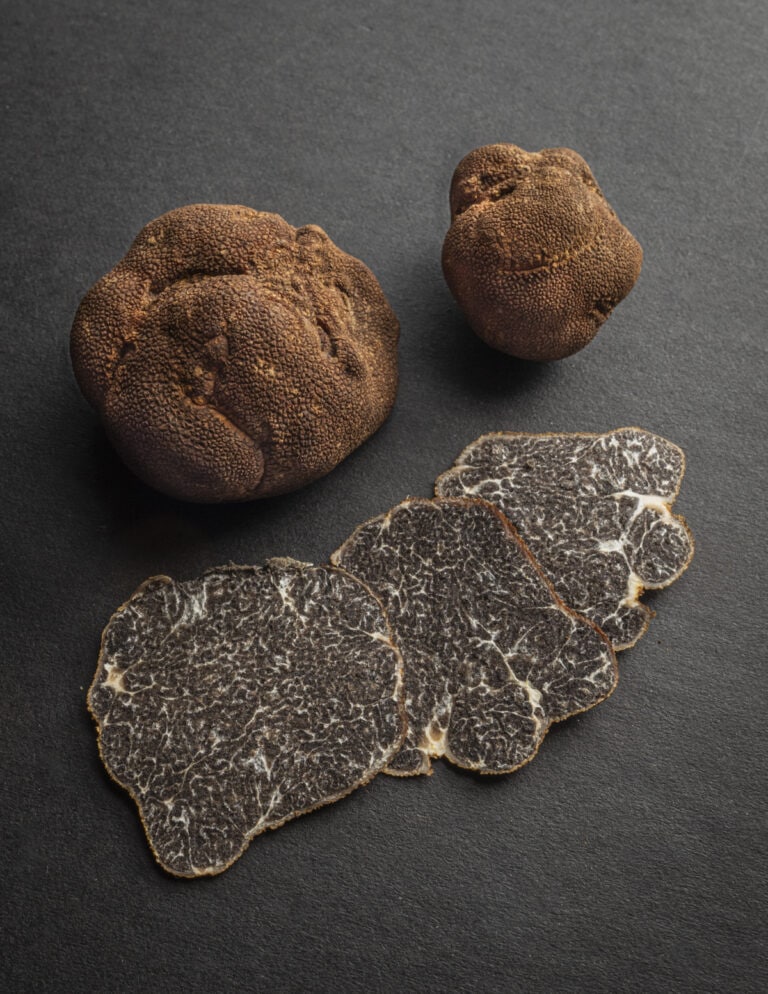 Michigan or Appalachian Truffles: Tuber canaliculatum - Forager | Chef