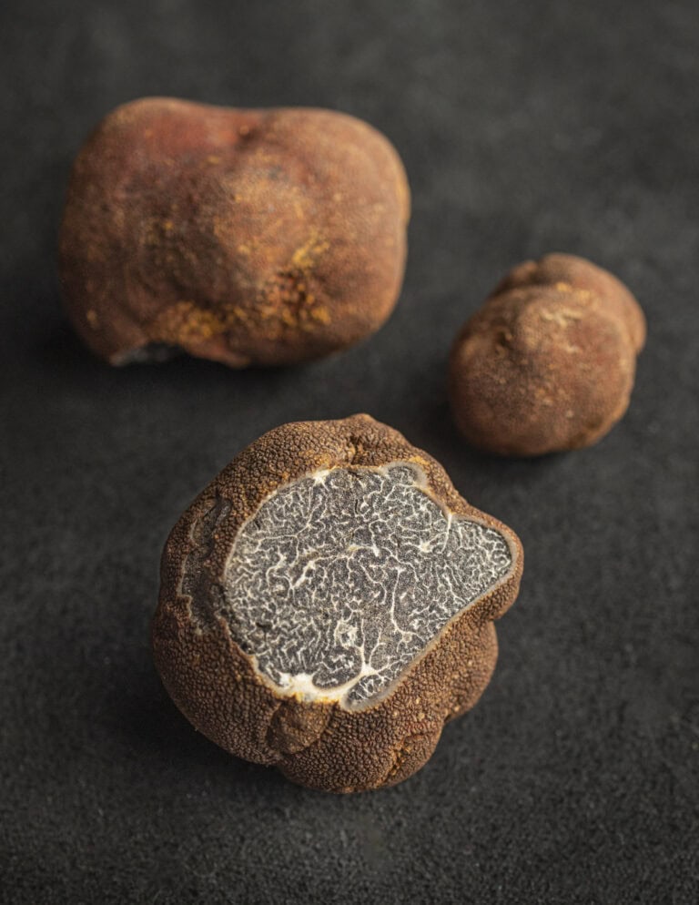 Michigan or Appalachian Truffles: Tuber canaliculatum - Forager | Chef