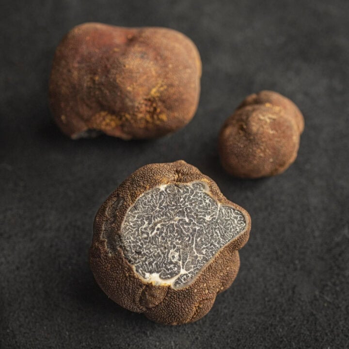 Black Truffle Recipes - Forager | Chef
