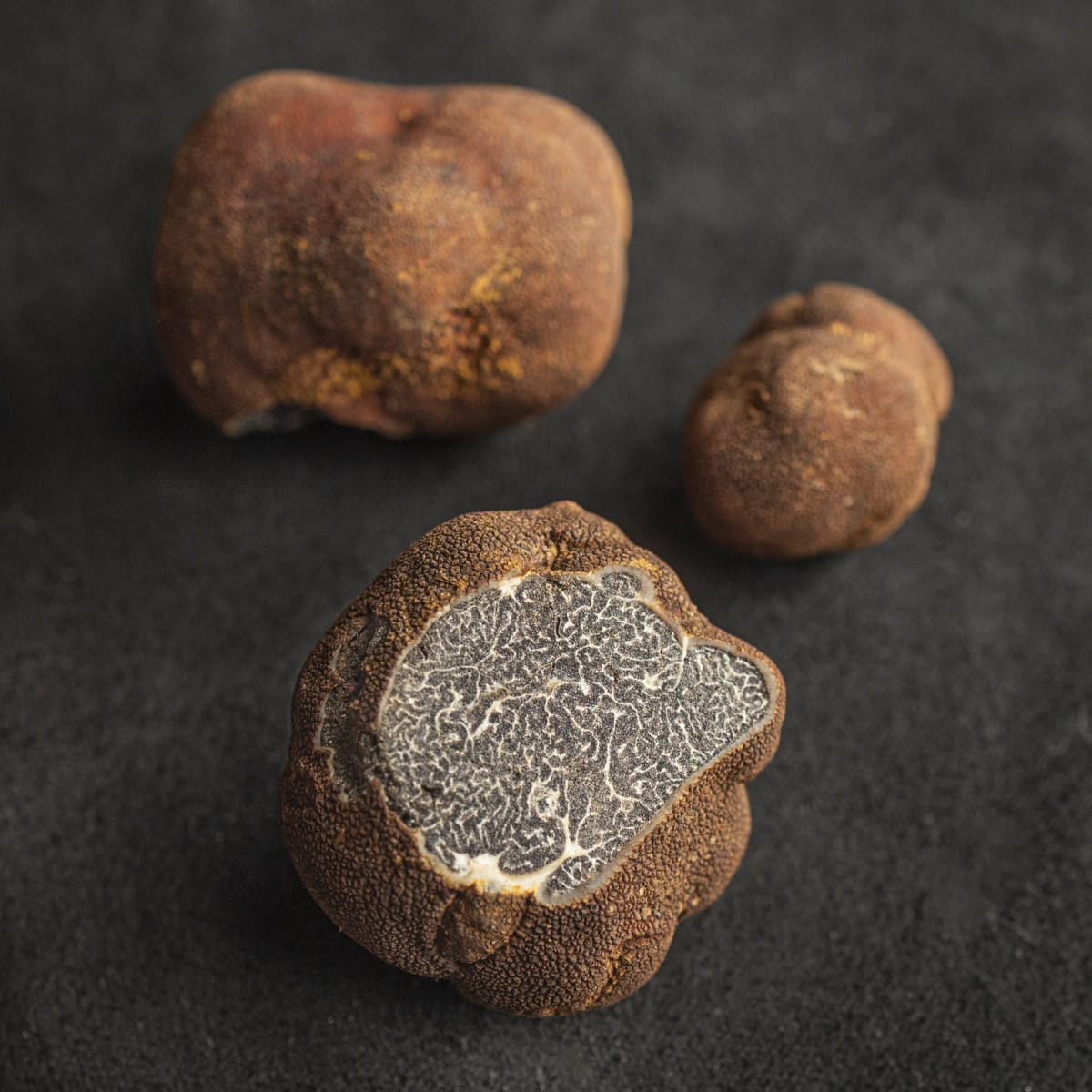 Michigan or Appalachian Truffles: Tuber canaliculatum - Forager | Chef