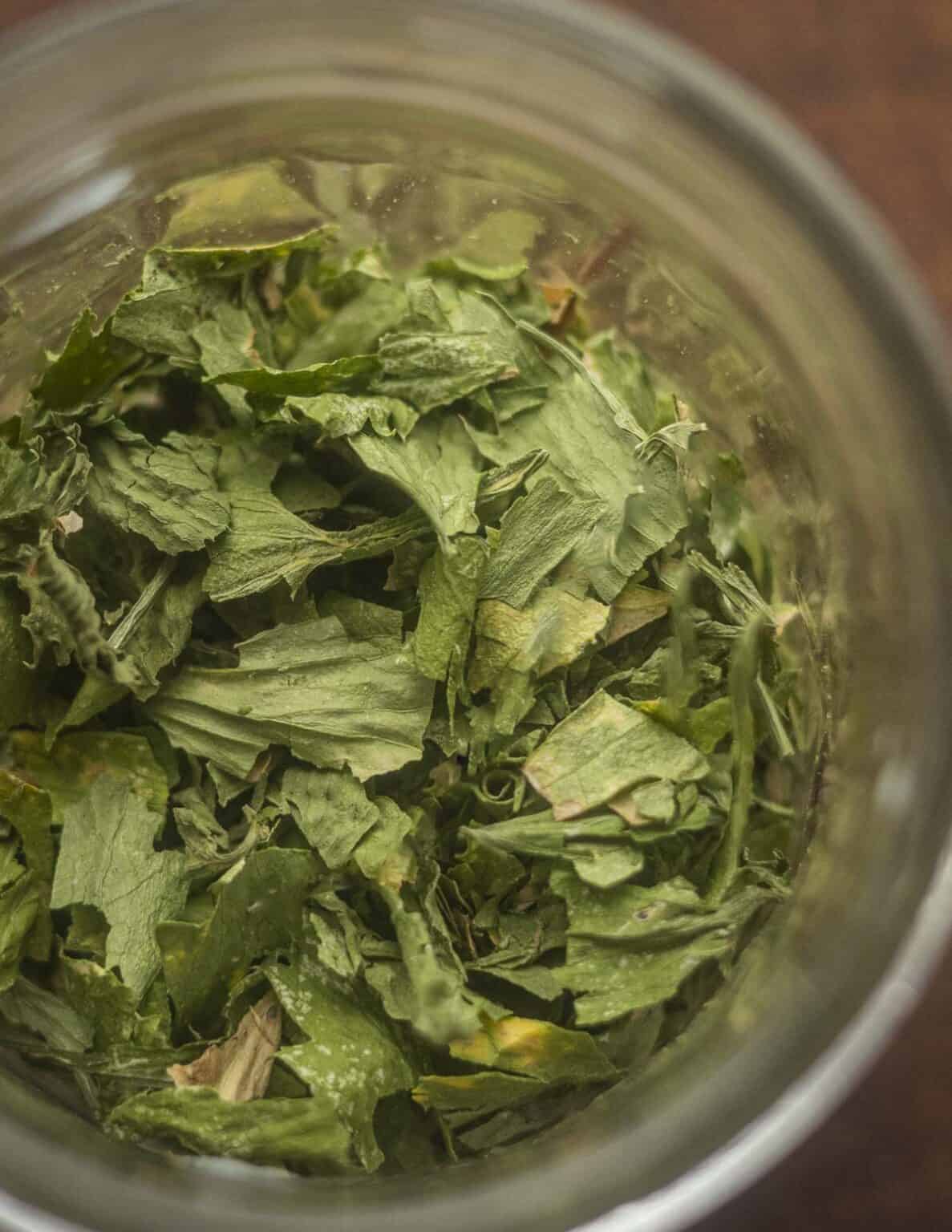 How to Cook With Lovage: A Delicious Forgotten Herb - Forager | Chef