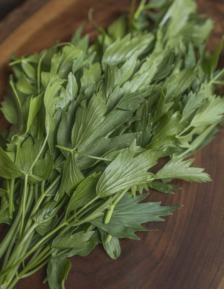 Lovage Sauce / Garlic & Herb Aioli - Forager | Chef