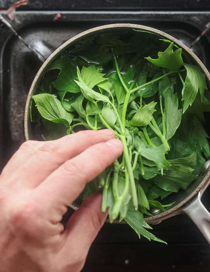 Lovage Sauce / Garlic & Herb Aioli - Forager | Chef