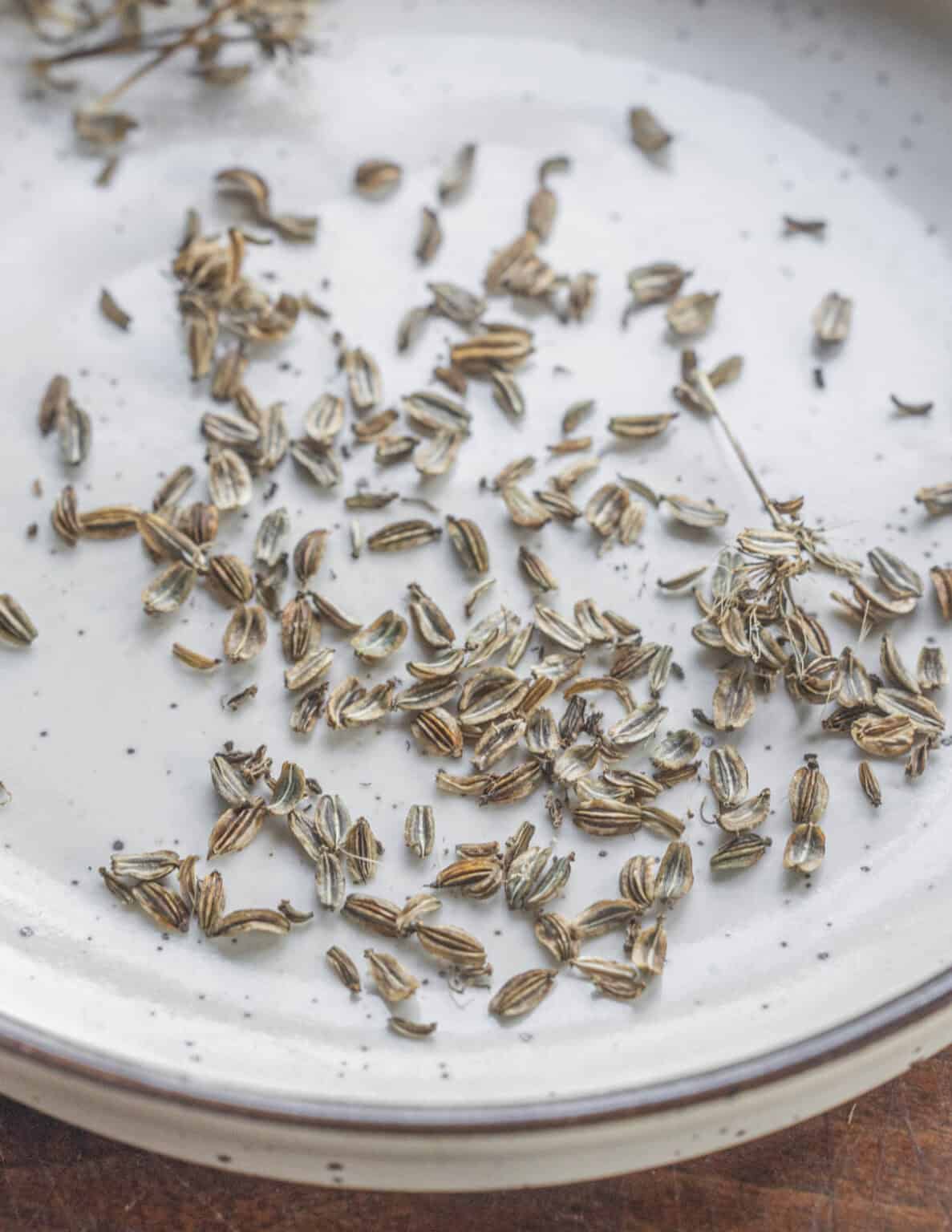 How to Cook With Lovage: A Delicious Forgotten Herb - Forager | Chef