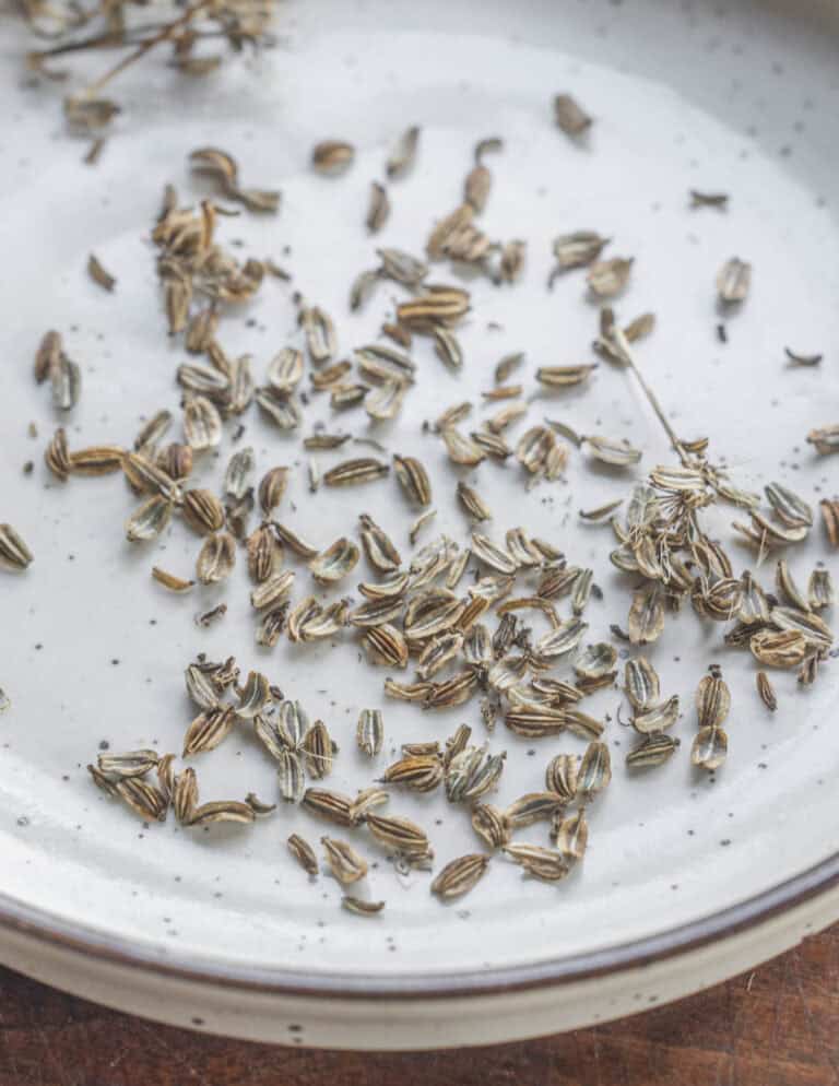 How to Cook With Lovage: A Delicious Forgotten Herb - Forager | Chef
