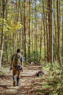 Michigan or Appalachian Truffles: Tuber canaliculatum - Forager | Chef