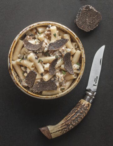 Michigan or Appalachian Truffles: Tuber canaliculatum - Forager | Chef