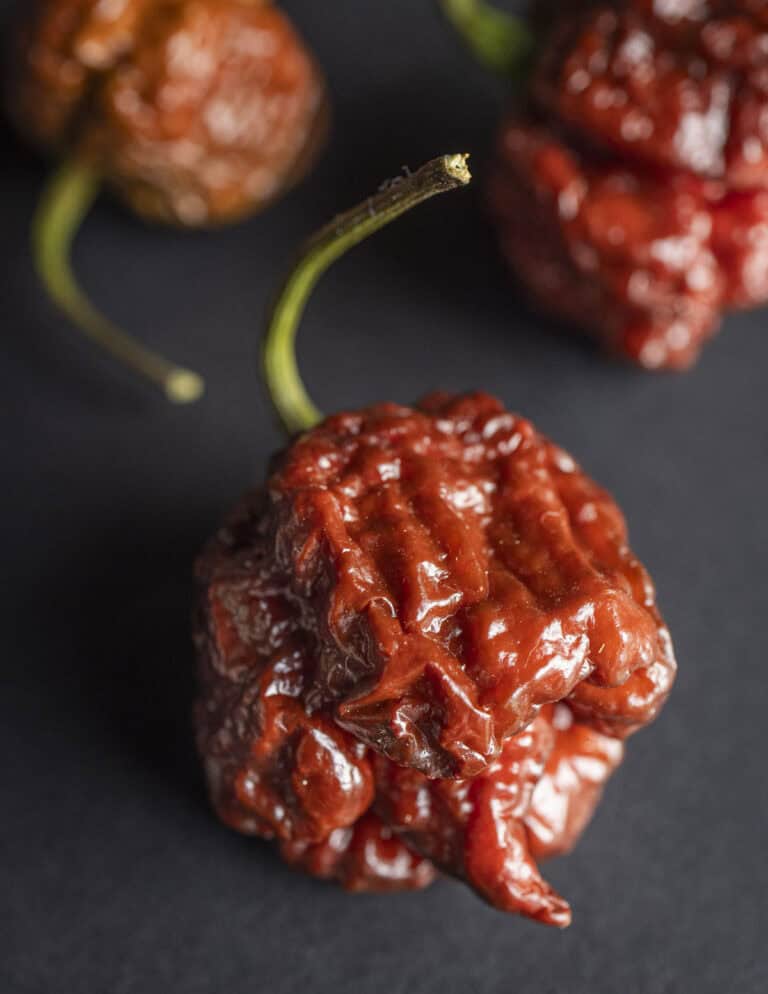 Hot Carolina Reaper or Ghost Pepper Salt - Forager | Chef