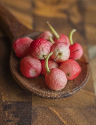Homemade Teaberry Ice Cream - Forager | Chef