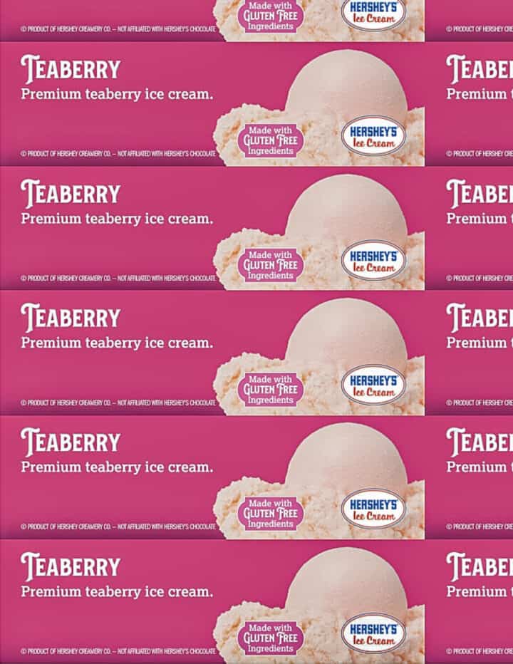 Homemade Teaberry Ice Cream - Forager | Chef