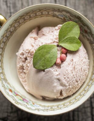 Homemade Teaberry Ice Cream - Forager | Chef