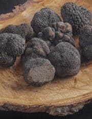 Michigan or Appalachian Truffles: Tuber canaliculatum - Forager | Chef