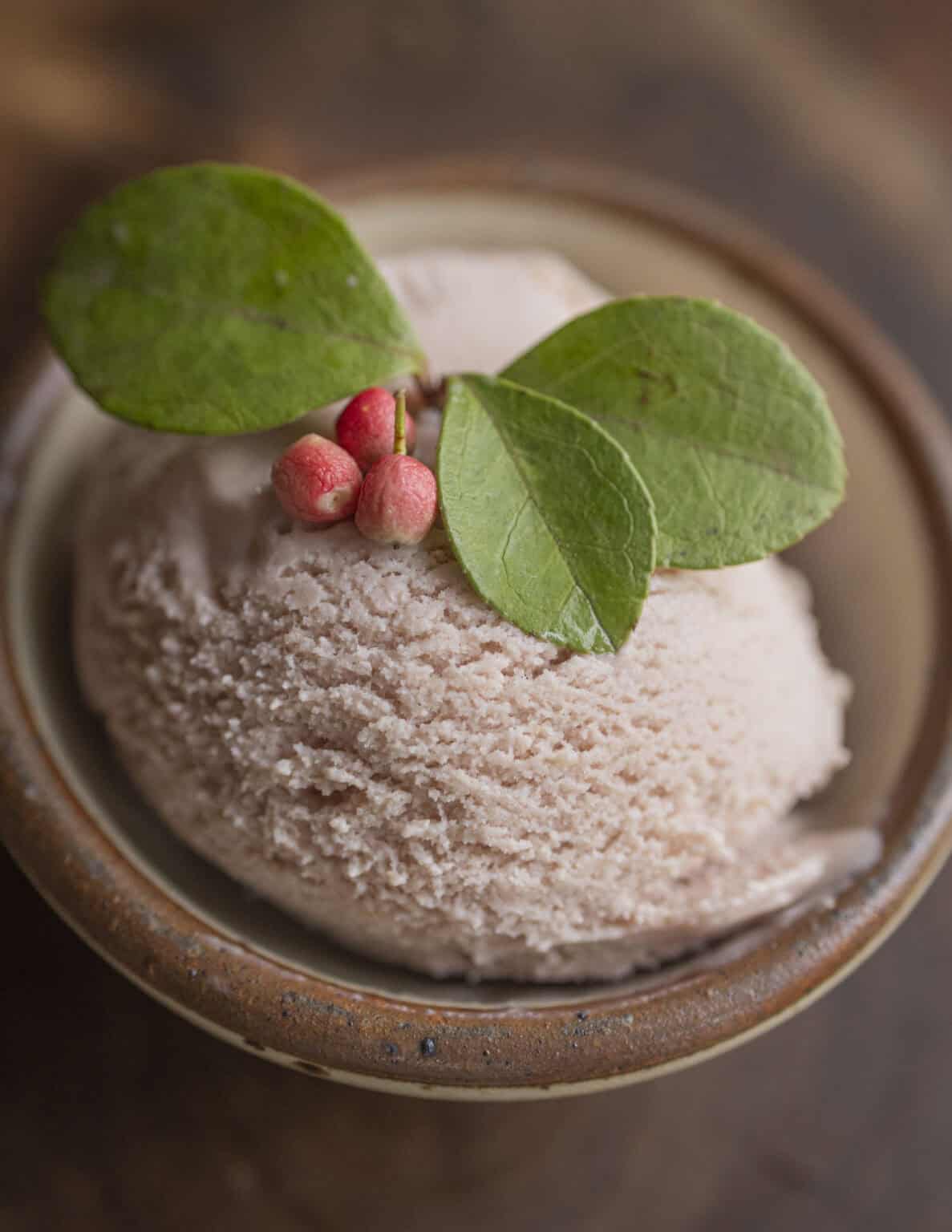 Eastern Teaberry or Wild Wintergreen (Gaultheria procumbens) - Forager ...