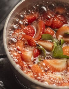 Eastern Teaberry or Wild Wintergreen (Gaultheria procumbens) - Forager ...