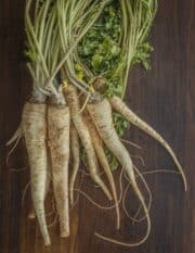 How to Cook with Parsley Root - Forager | Chef