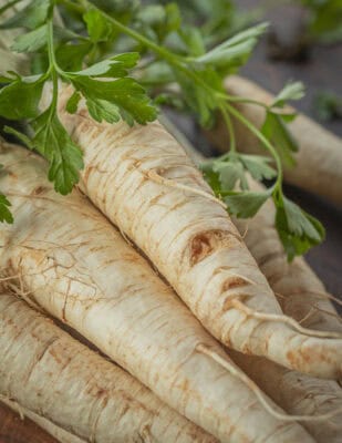 How to Cook with Parsley Root - Forager | Chef