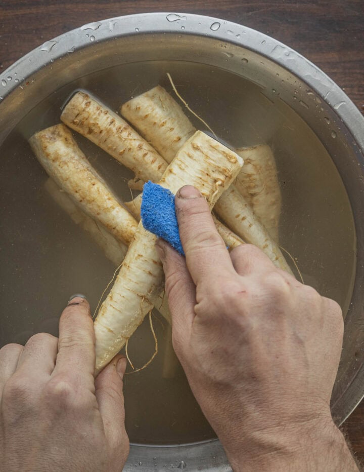 Creamy Parsley Root Soup - Forager | Chef