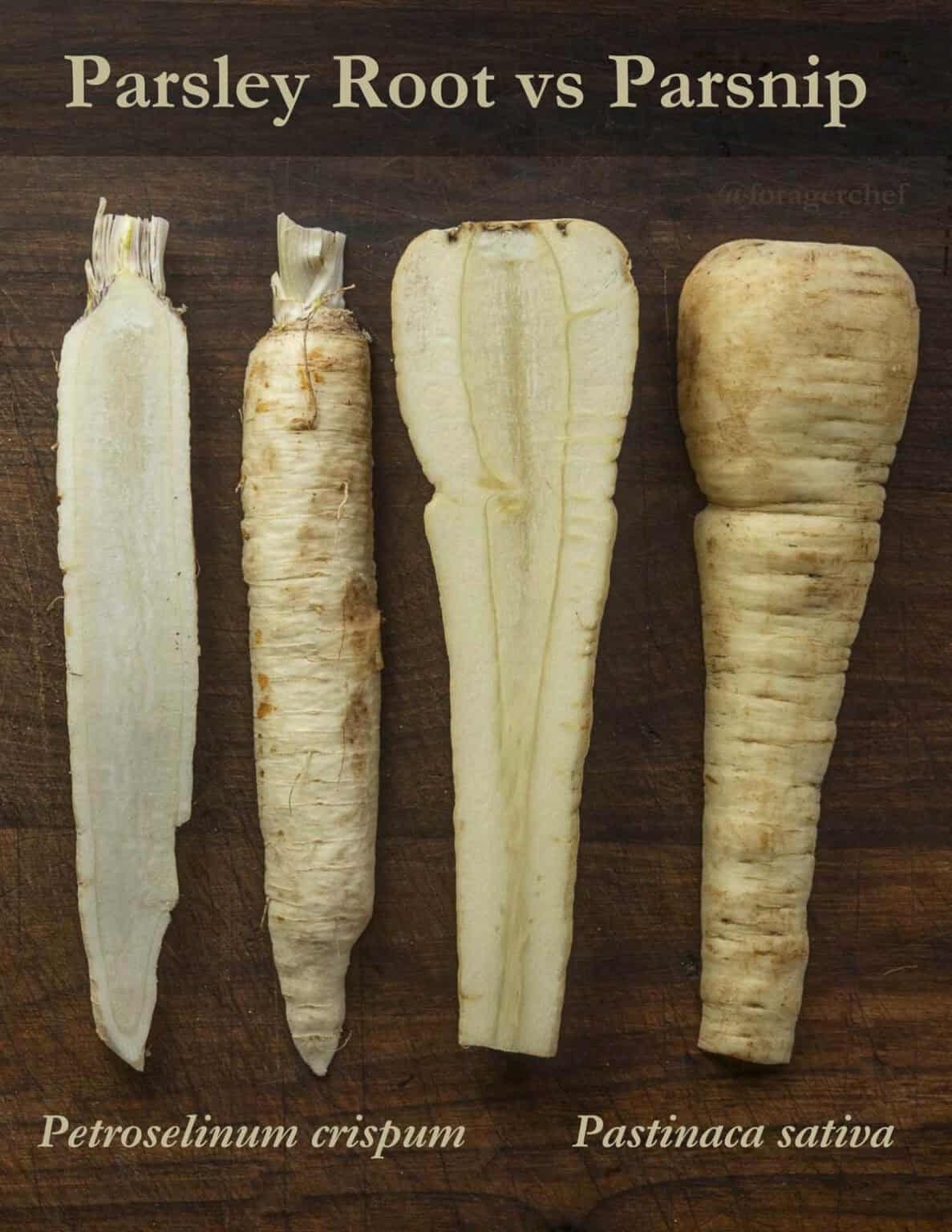 How to Cook with Parsley Root - Forager | Chef