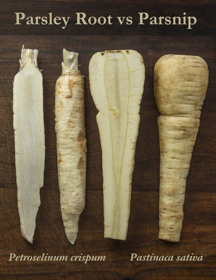 How to Cook with Parsley Root - Forager | Chef