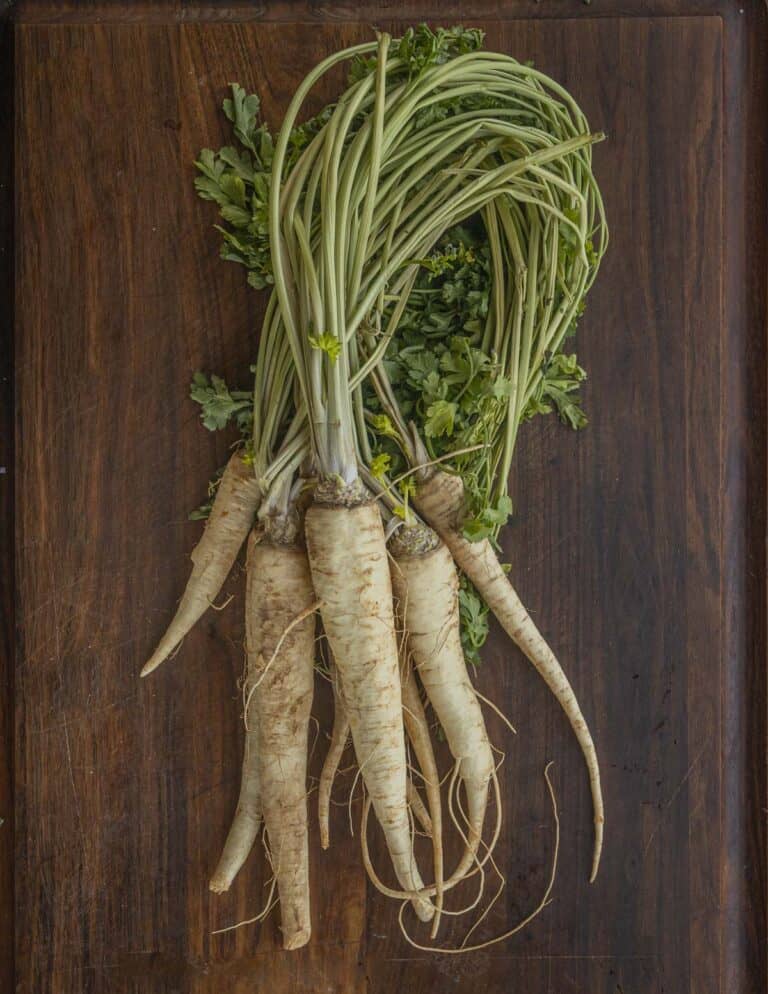 Creamy Parsley Root Soup - Forager | Chef
