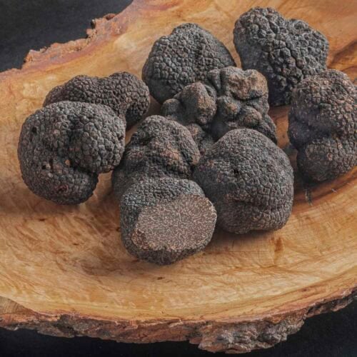Black Truffle Recipes - Forager | Chef