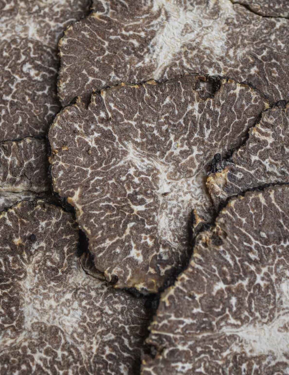 Winter Black Truffles: Varieties, Purchasing and Cooking - Forager | Chef
