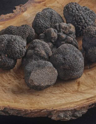 Winter Black Truffles: Varieties, Purchasing and Cooking - Forager | Chef