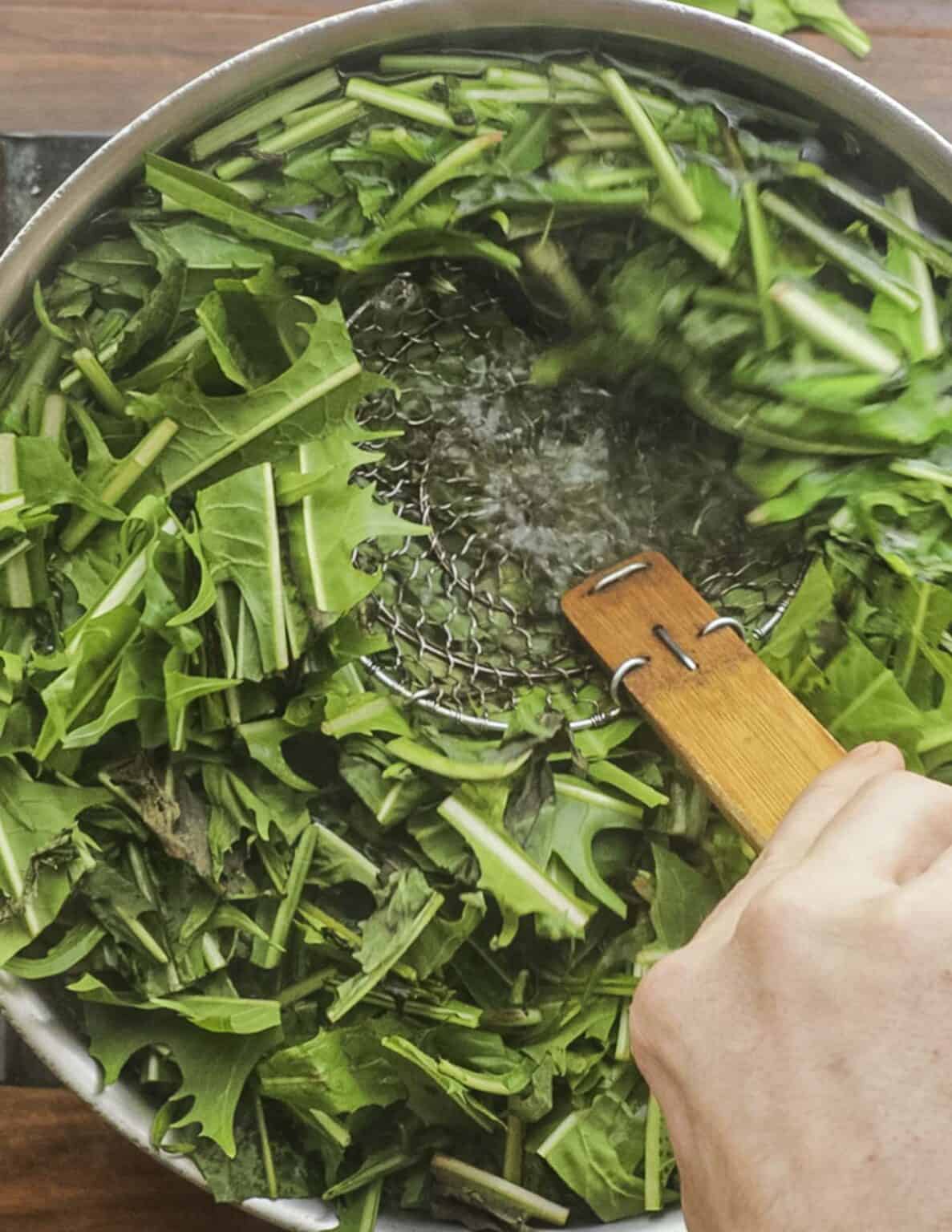 How to Cook Dandelion Greens: A Primer - Forager | Chef