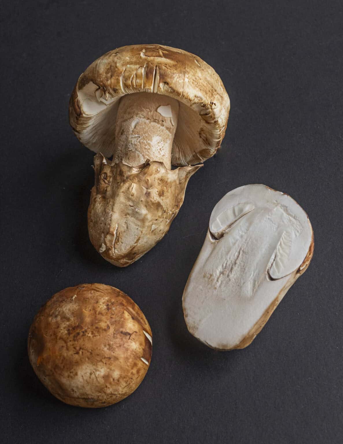 Champinones al Ajillo: A Spanish Garlic Mushroom Tapa - Forager | Chef