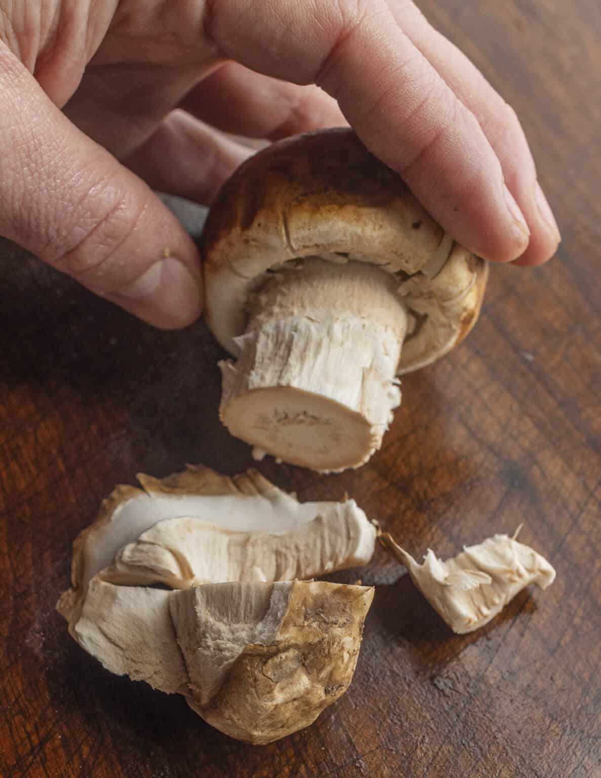 Amanita ponderosa: Spain's Gurumelo or Heavy Amidella - Forager | Chef