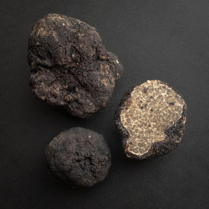 Oregon Black Truffles (Leucangium carthusianum) - Forager | Chef