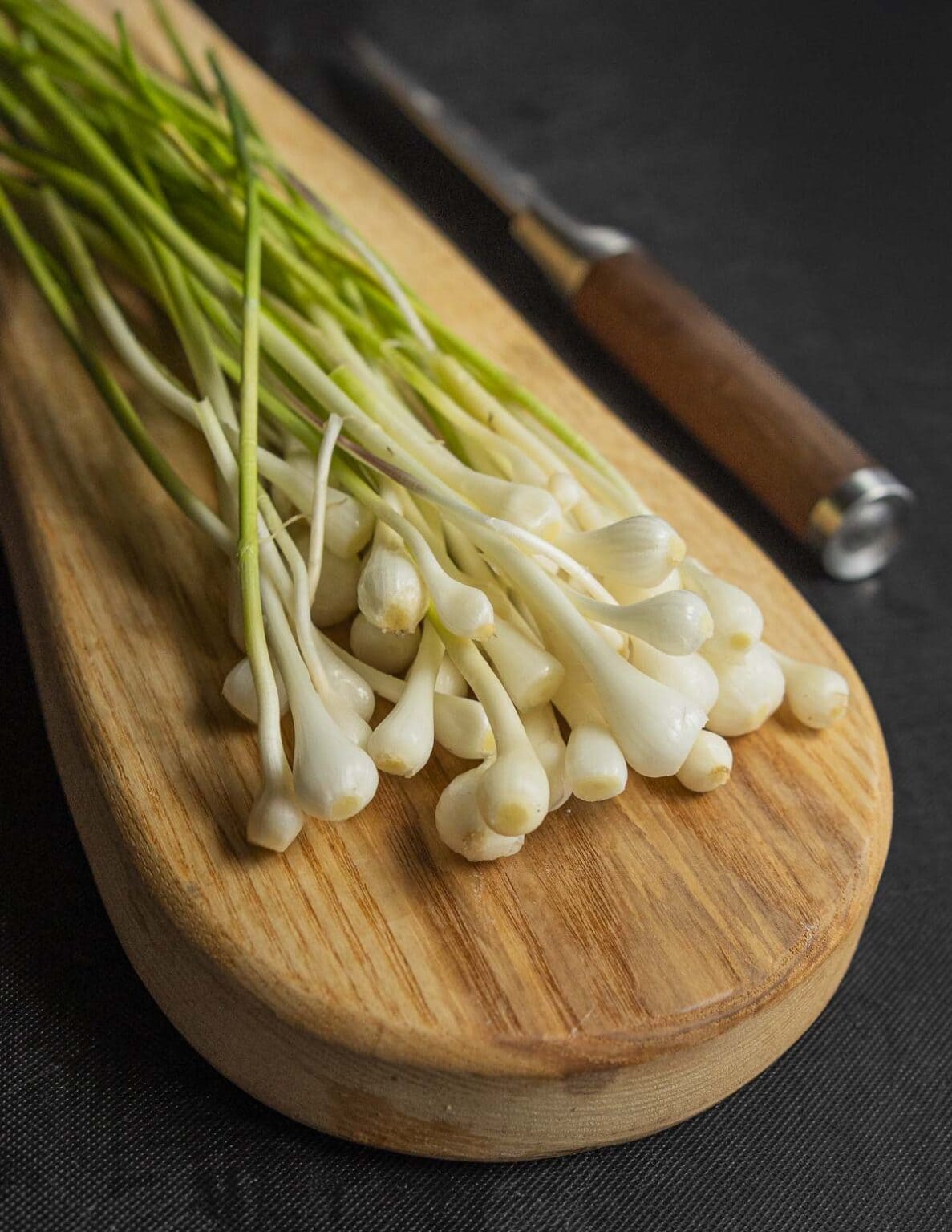 Crow Garlic / Onion Grass / Allium Vineale - Forager | Chef