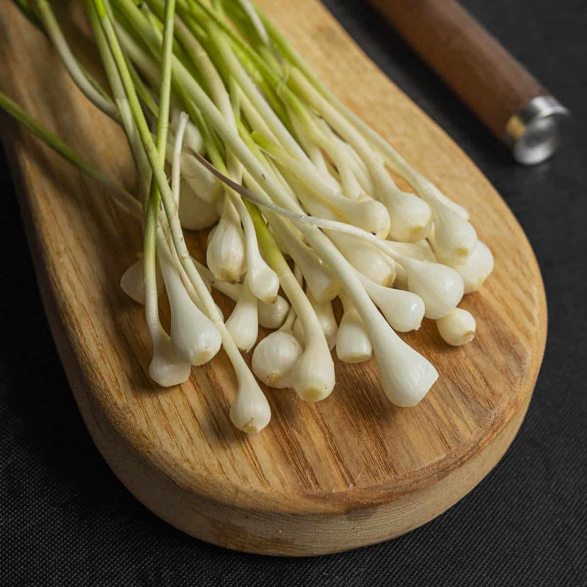 Crow Garlic / Onion Grass / Allium Vineale - Forager | Chef