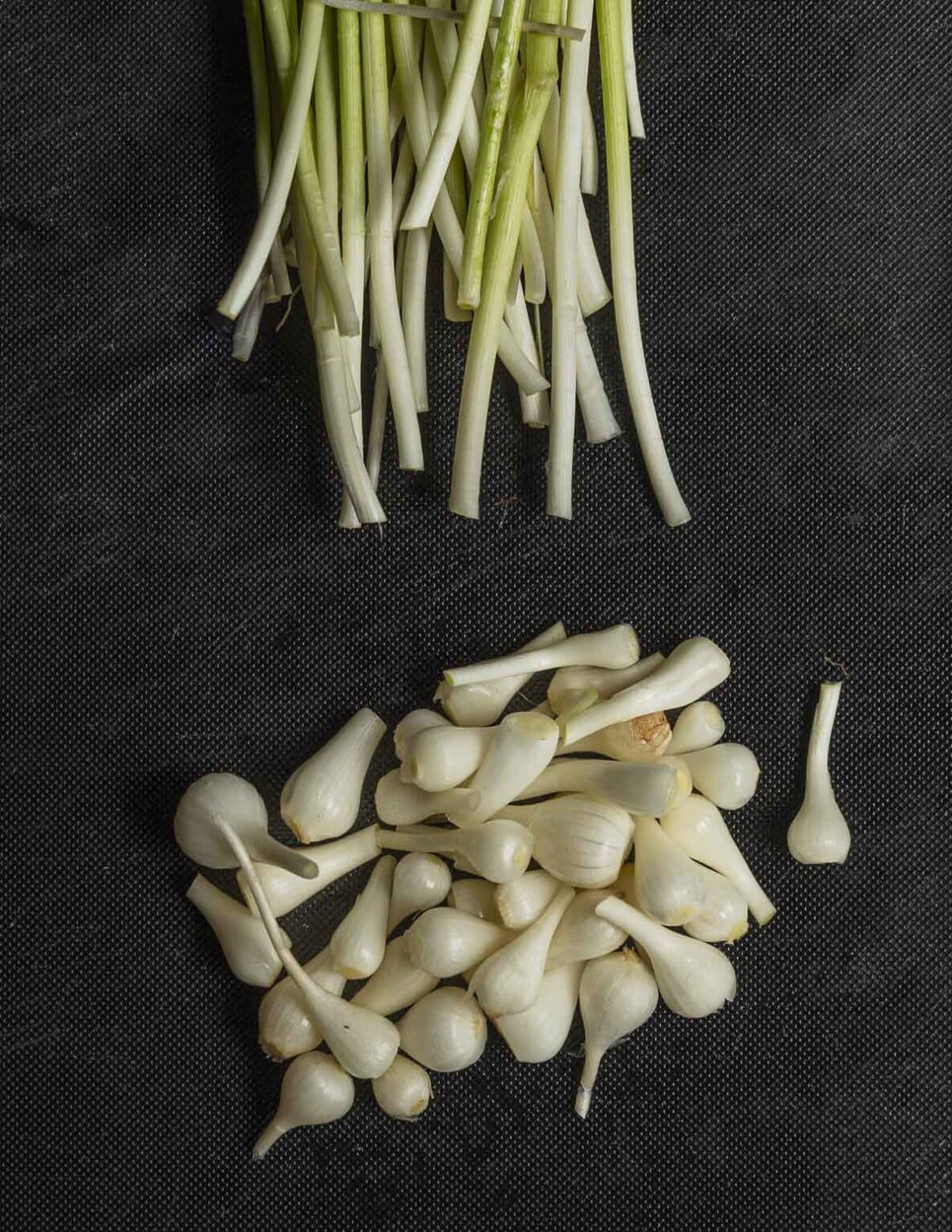 Crow Garlic / Onion Grass / Allium Vineale - Forager | Chef