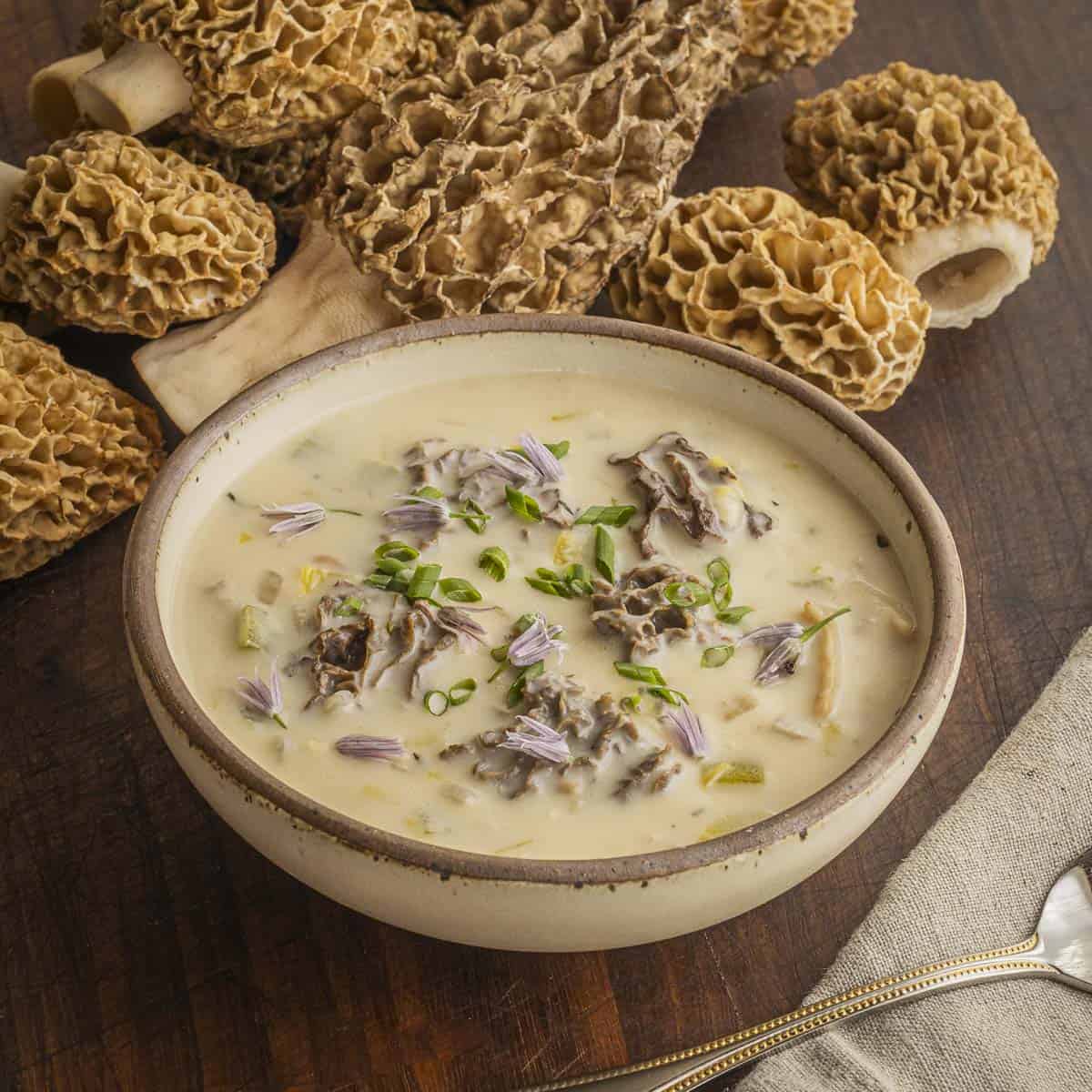 Cream of Fresh Morel Mushroom Soup - Forager | Chef