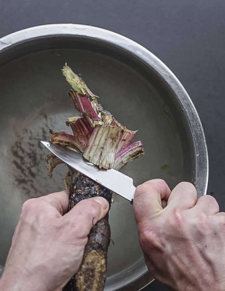 Foraging Burdock Root, and Other Edible Parts of the Plant - Forager | Chef