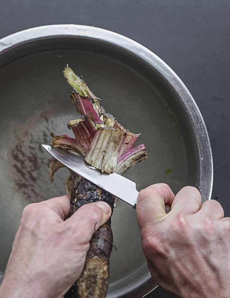 Foraging Burdock Root, and Other Edible Parts of the Plant - Forager | Chef