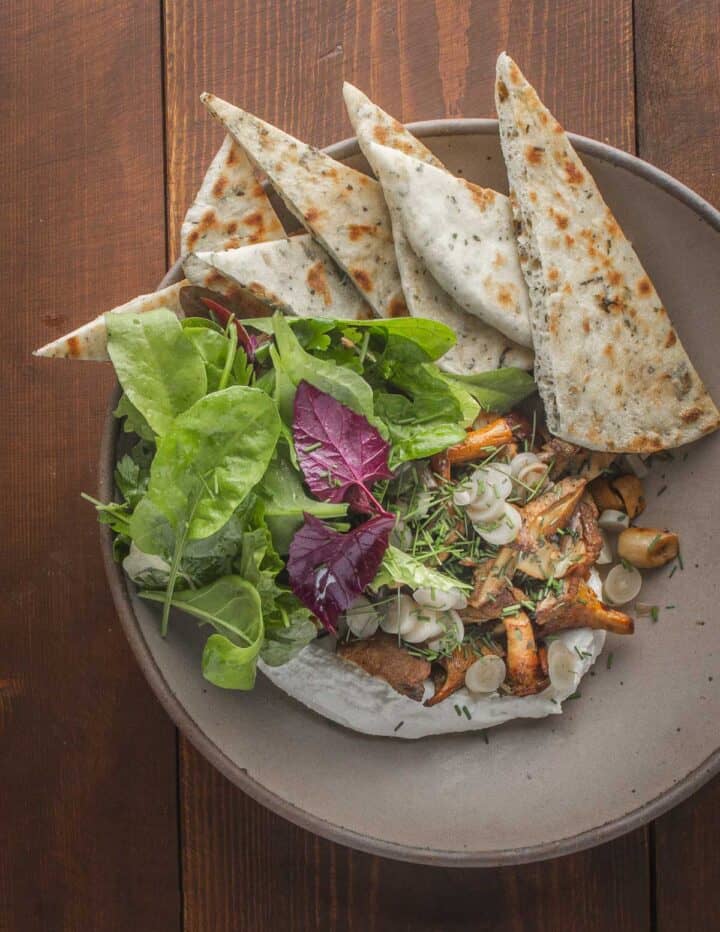 Green and Red Orache / Saltbush - Forager | Chef