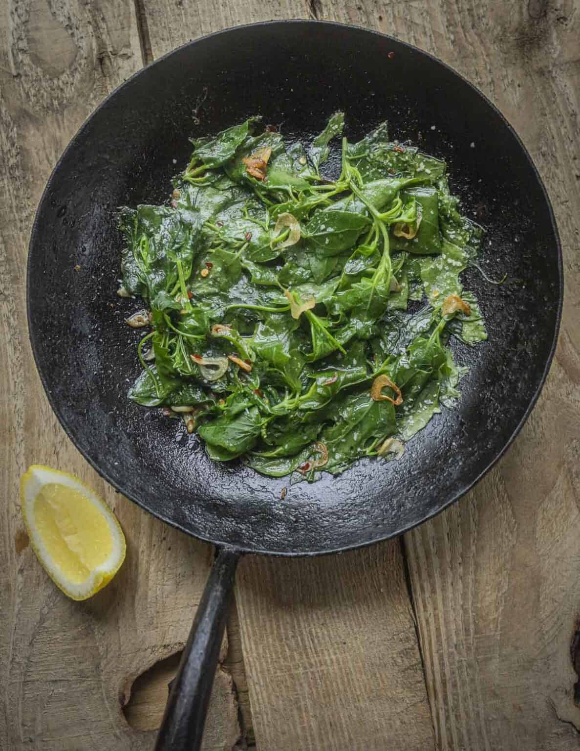 Green and Red Orache / Saltbush - Forager | Chef
