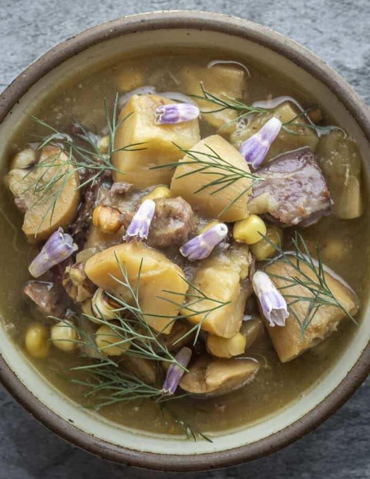 Comfrey Plants: A Traditional Food and Medicine - Forager | Chef