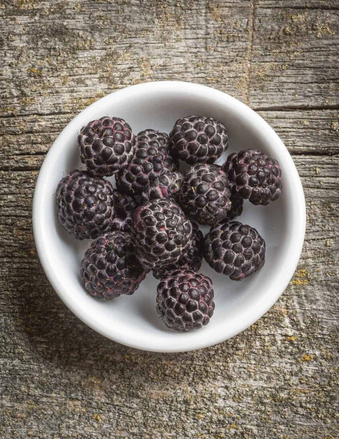 Black Raspberries (The Black Cap Berry) - Forager | Chef
