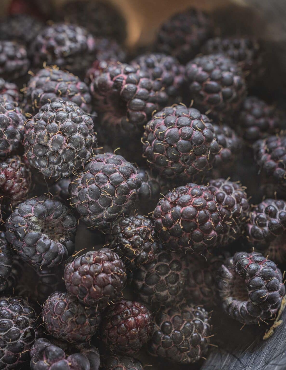 Black Raspberries (The Black Cap Berry) - Forager | Chef